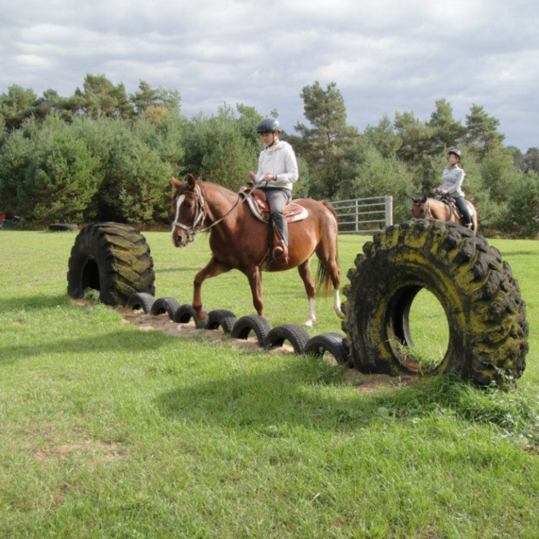 Horseback Riding Lessons Near Toronto - Pleasure Valley Paths