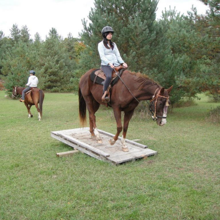 Horseback Riding Lessons Near Toronto - Pleasure Valley Paths