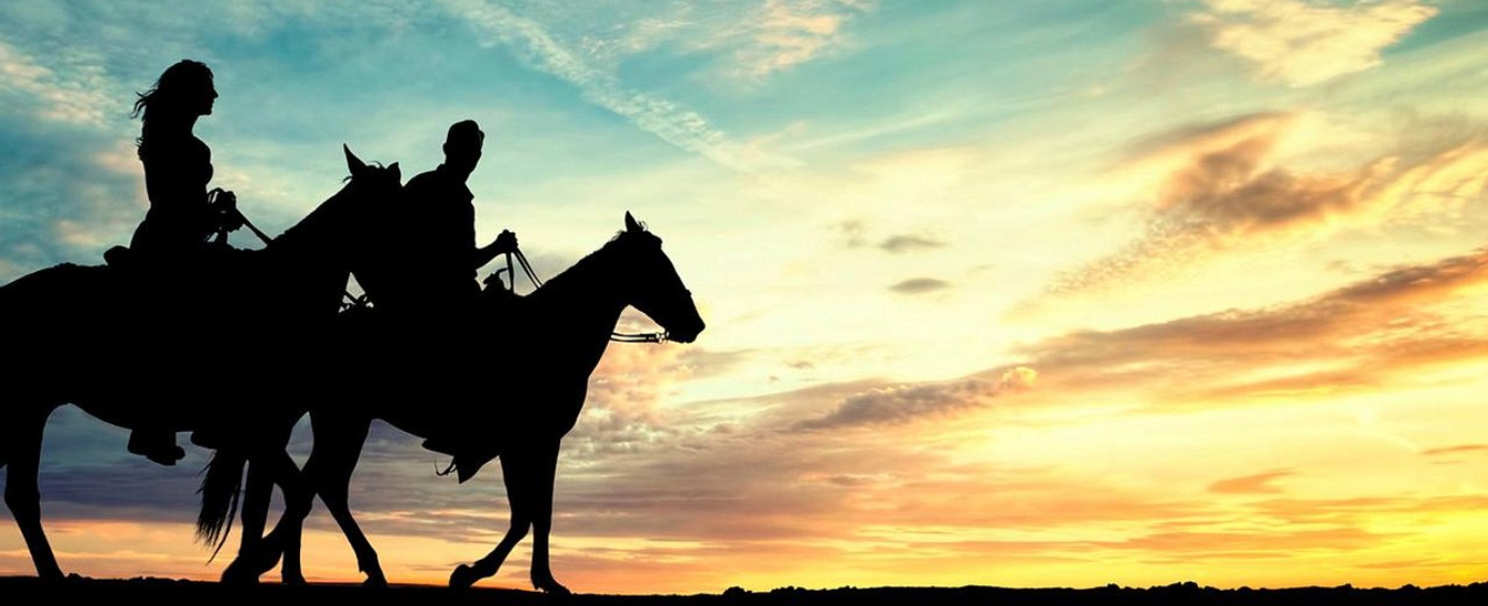 Horseback Riding Toronto, Horse Back Trails & Lessons | Pleasure Valley