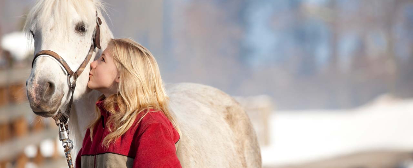 Horseback Riding Toronto, Horse Back Trails & Lessons | Pleasure Valley